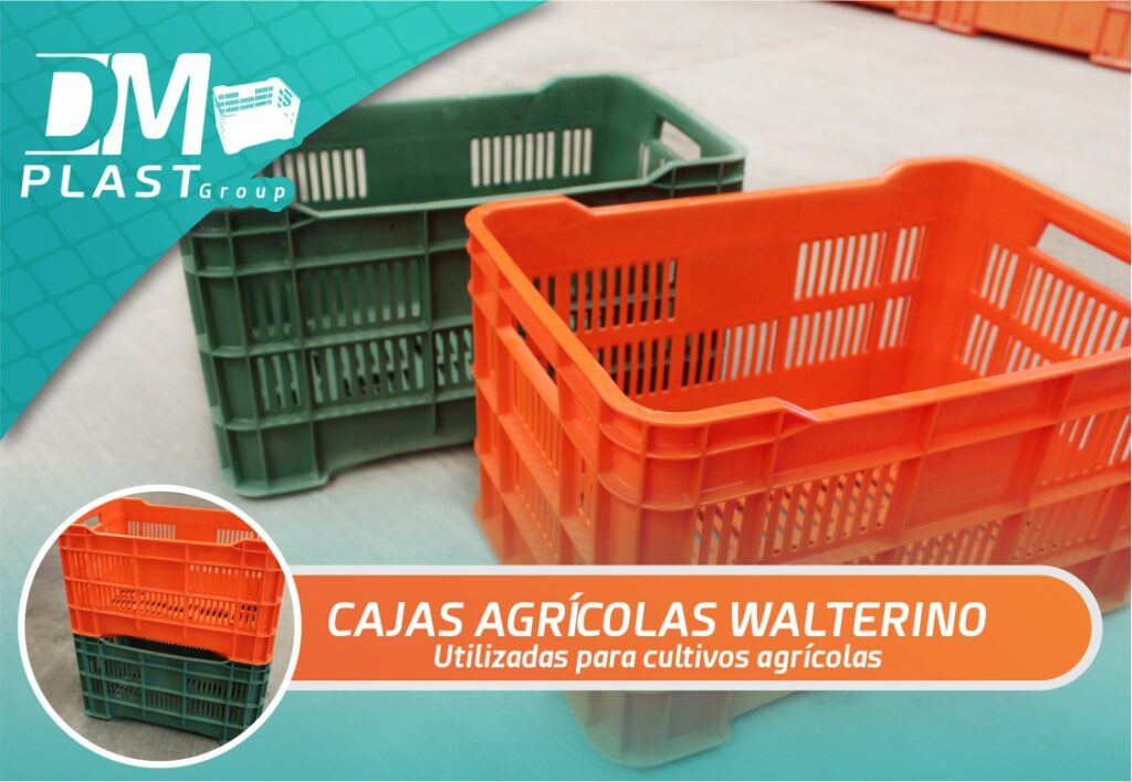 caja con division calada archivos - DM Plast