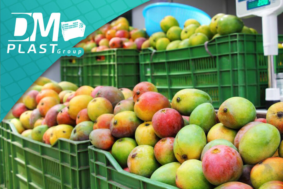 Caja para cosecha de mango archivos - DM Plast