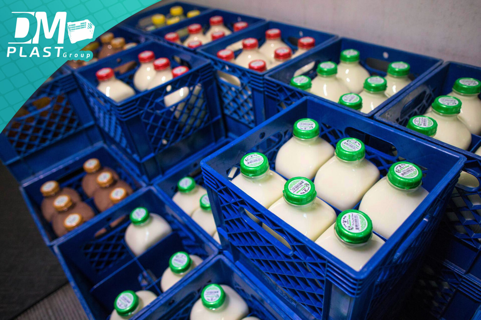 caja lechera 20 litros archivos - DM Plast