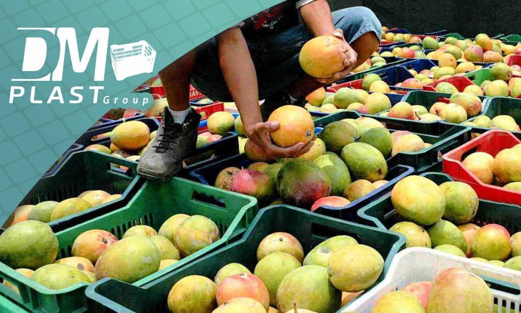 ¡Que no se maltraten tus frutos! Utiliza Cajas de 30 kg para transporte ...