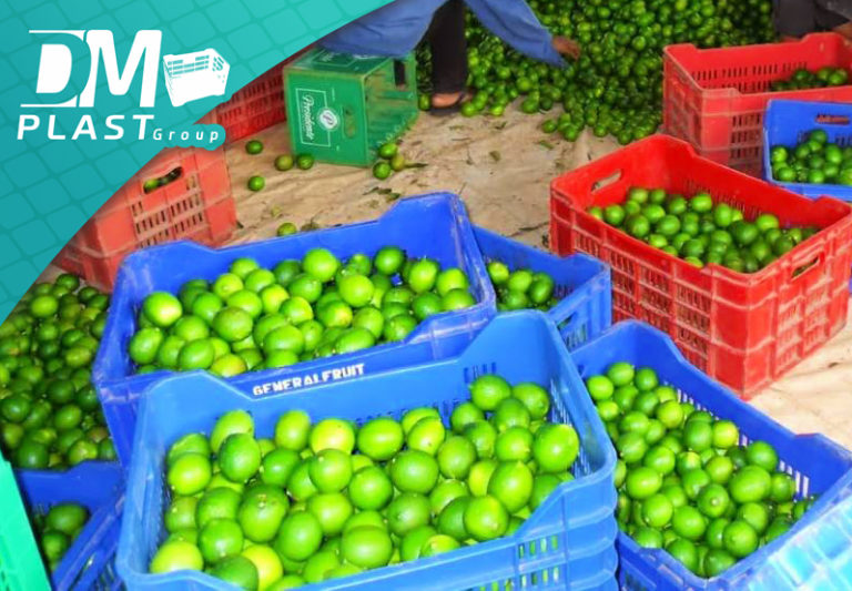 Cajas Plásticas para el traslado y almacenamiento de Limón ¡Adquiere ...
