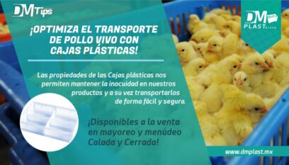 ¡Utiliza La Caja pollito sin división para transporte de pollo vivo y ...