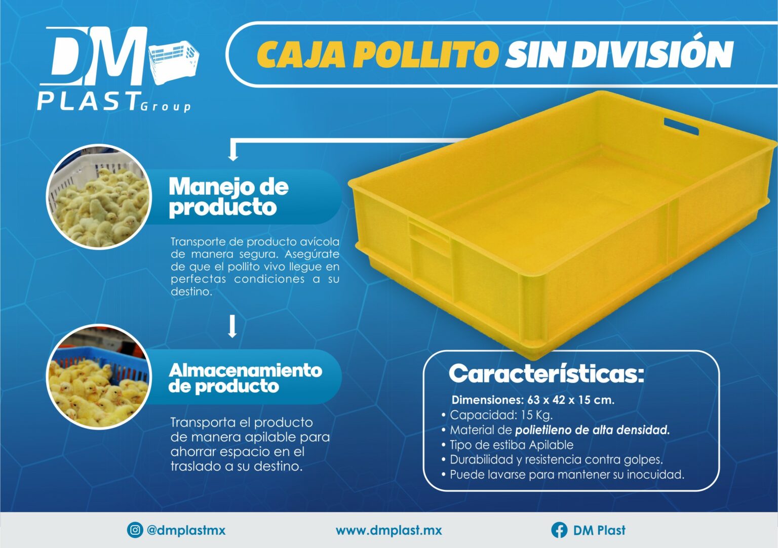 ¡Transporta tu pollo vivo de manera segura con la caja pollito con y ...