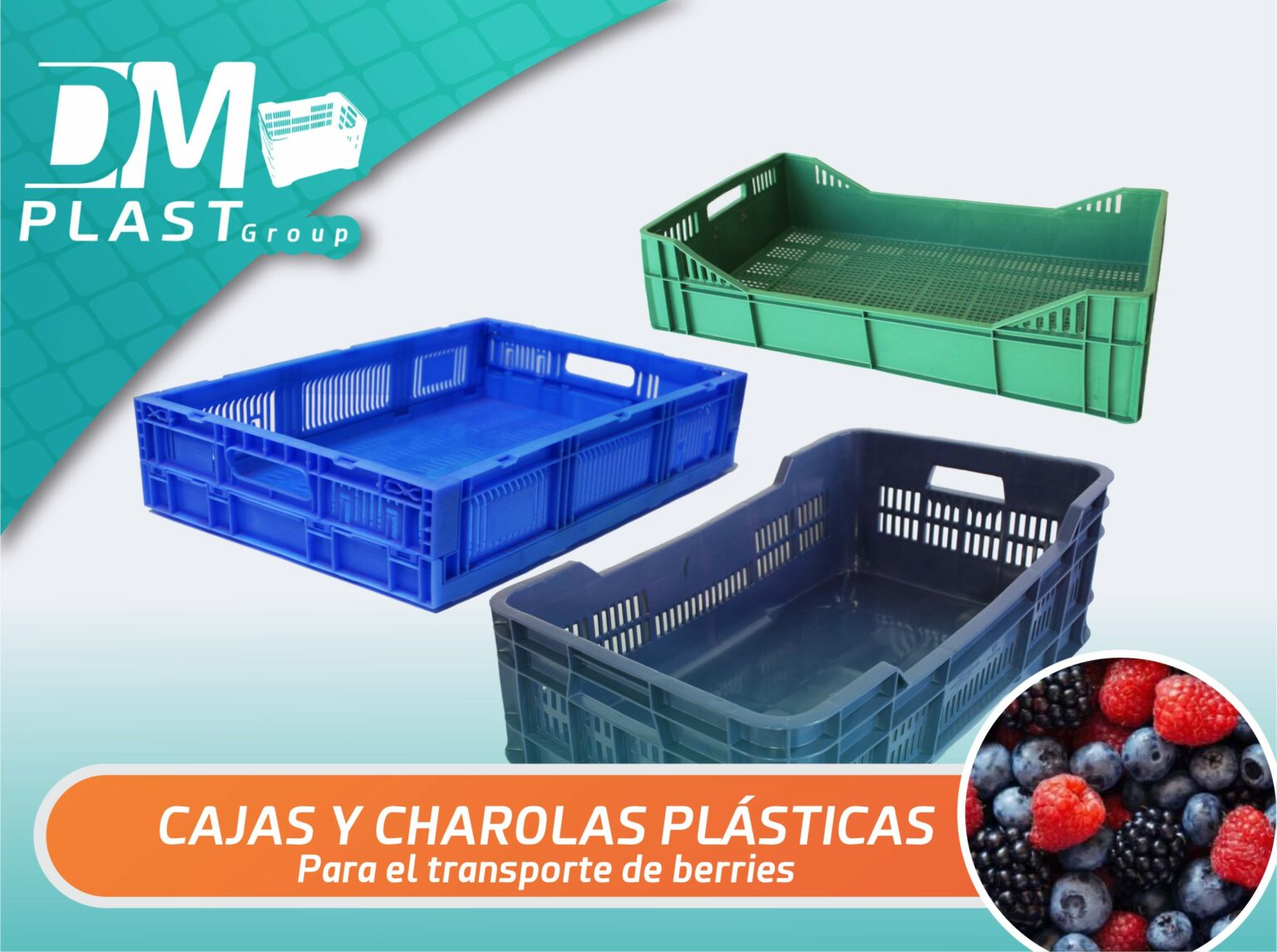 Caja lima de plastico archivos - DM Plast