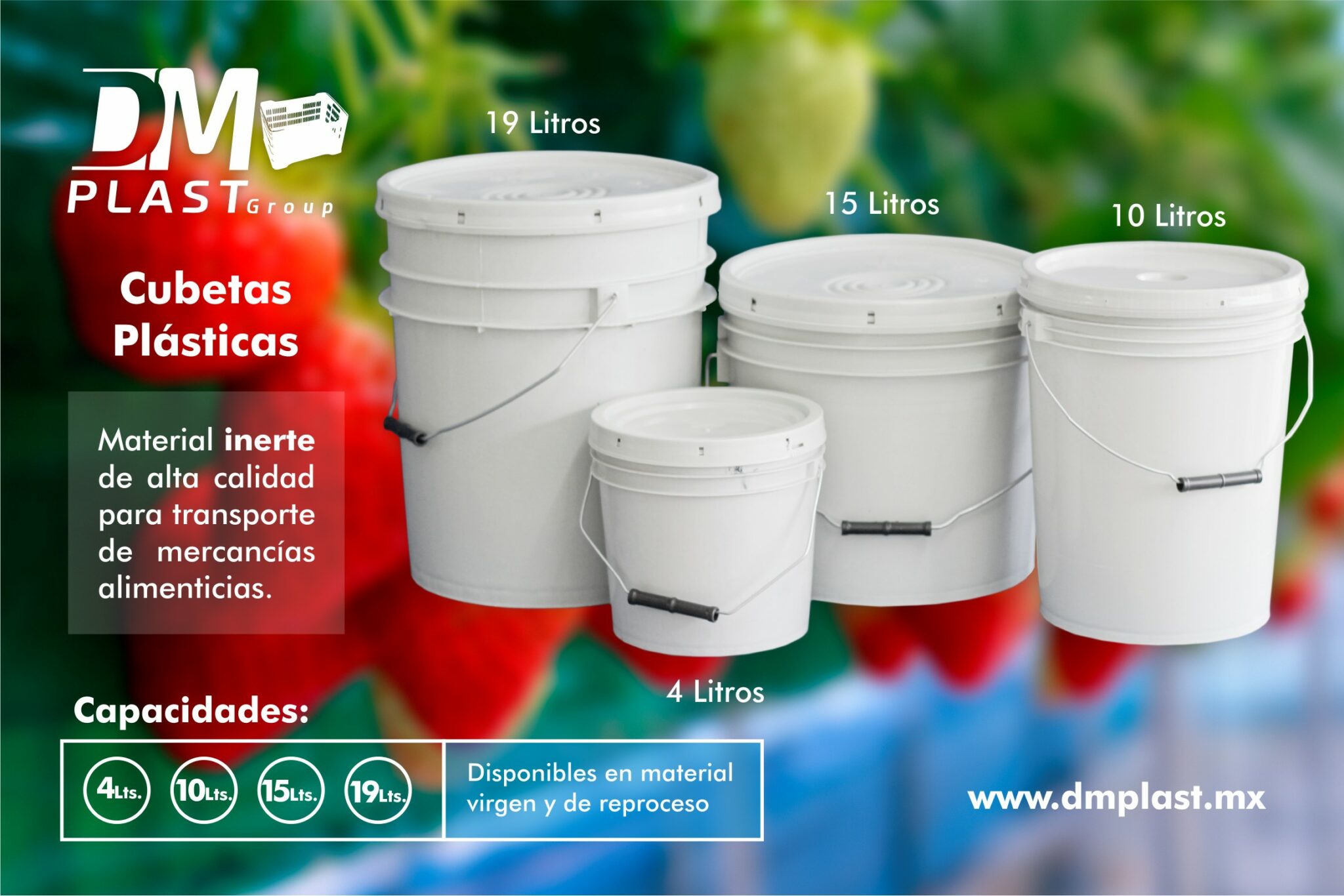 ¡Evita la contaminación de tus productos con las cubetas plásticas de ...