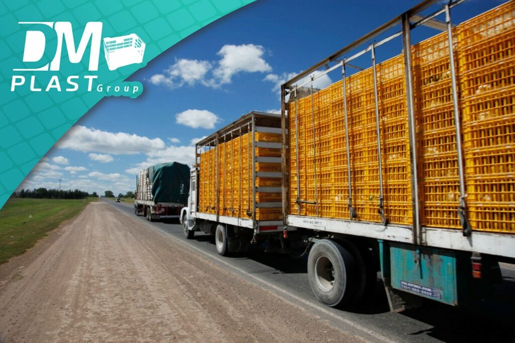 ¡Transporta de forma cómoda y segura pollo vivo con la Jaula pollera de ...