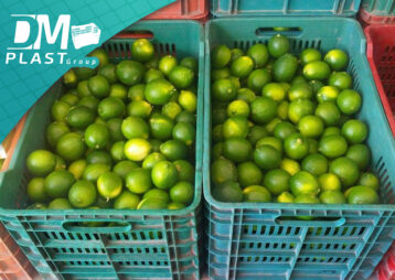 Cultivo y Exportación de Limón - DM Plast