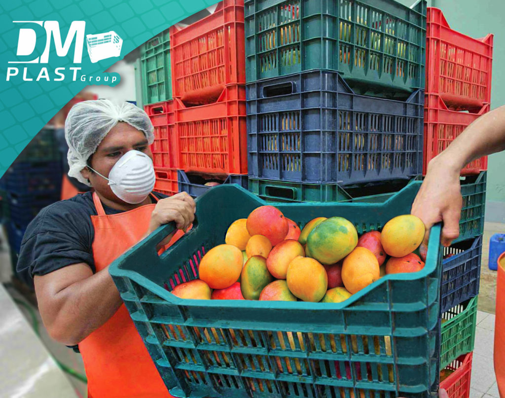 Mango Sinaloense en Europa - DM Plast