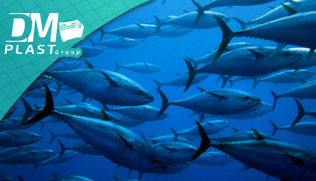 Producción de Atún en México - DM Plast