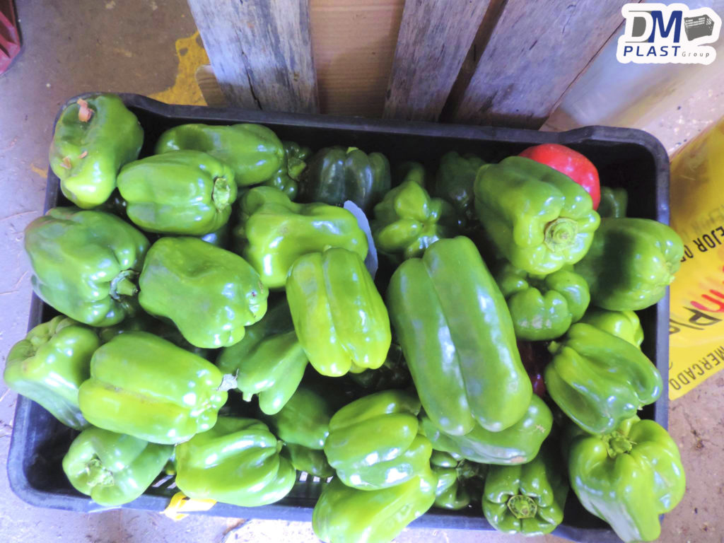 Caja Agrícola Mediana Calada para Chile Verde - DM Plast