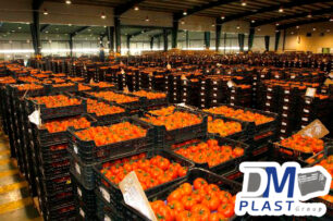 Caja Plástica Andrea para Jitomate Bola - DM Plast