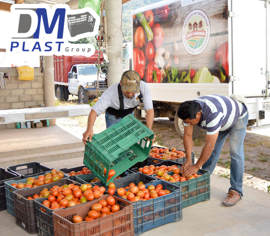 Cajas De Cultivo Con Riego Automático Para Tomates Verdes