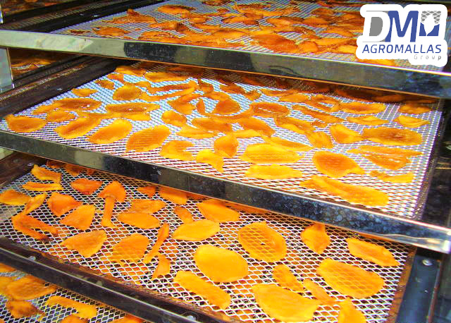 Deshidratado de Mango - DM Plast